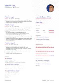 Top Project Analyst Resume Examples + Expert Tips | Enhancv.com