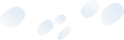 Professional CV & Resume Builder Pricing | Enhancv