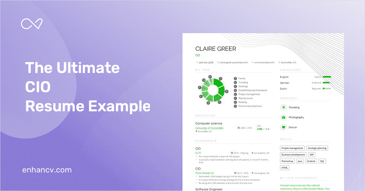 CIO Resume Example and guide for 2019