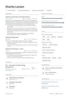 Salesforce Developer Resume Samples and Writing Guide for 2021 ...
