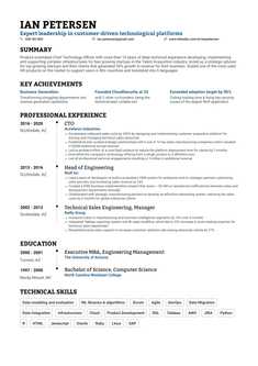 Executive Resume: Best Performing Examples in 2021 | Enhancv