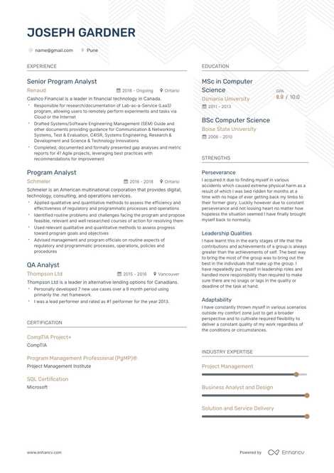 The Best Program Analyst Resume Examples & Skills to Get You Hired