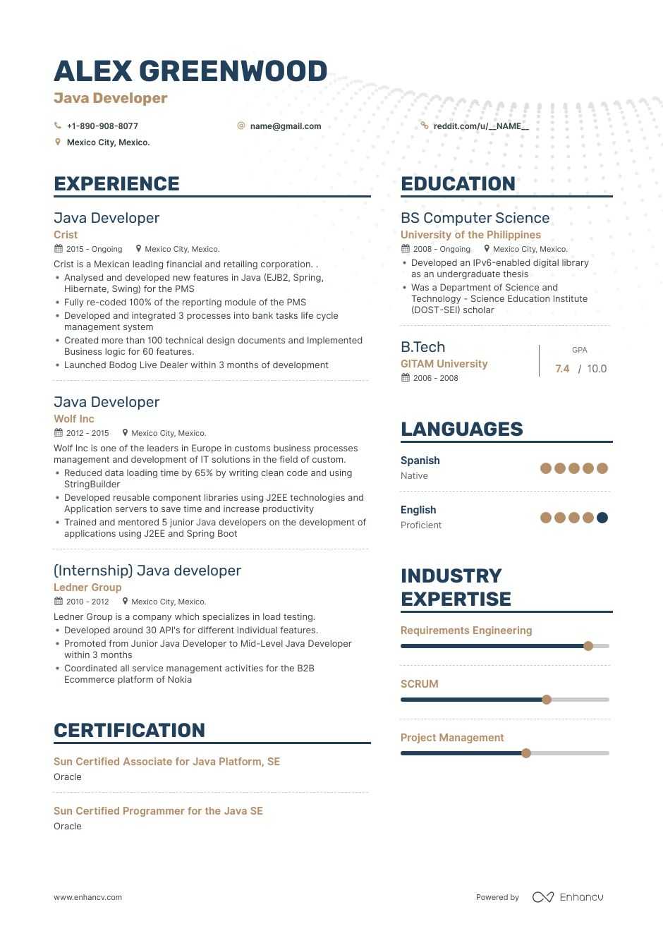 Resume Template Java Developer