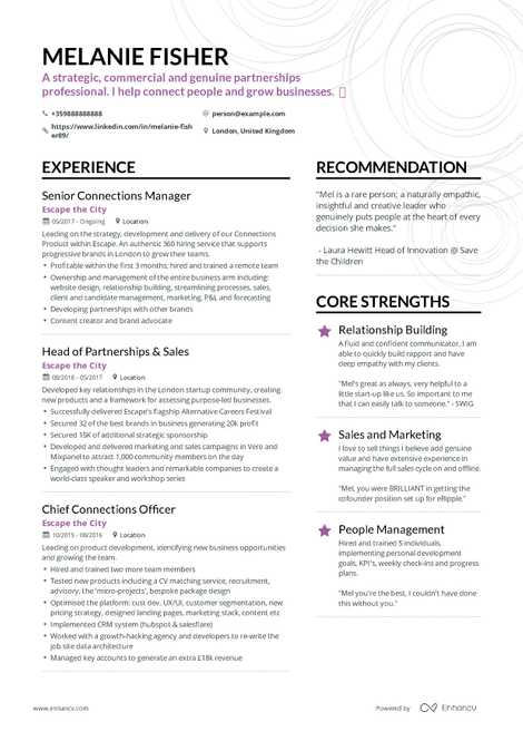 Sales Manager Resume Example and guide for 2019