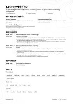 IT Director Resume Examples | Do’s and Don’ts for 2021 | Enhancv