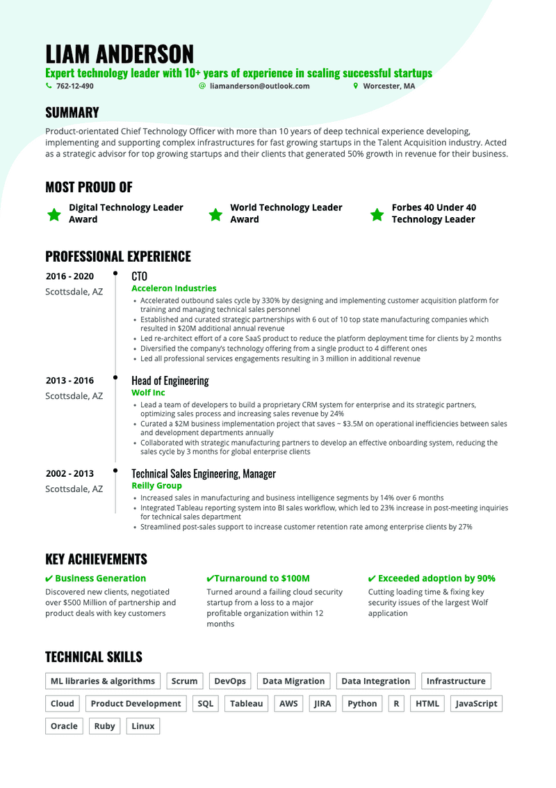 Timeline Resume Template | Chronological Resume Template 2021 | PDF & TXT