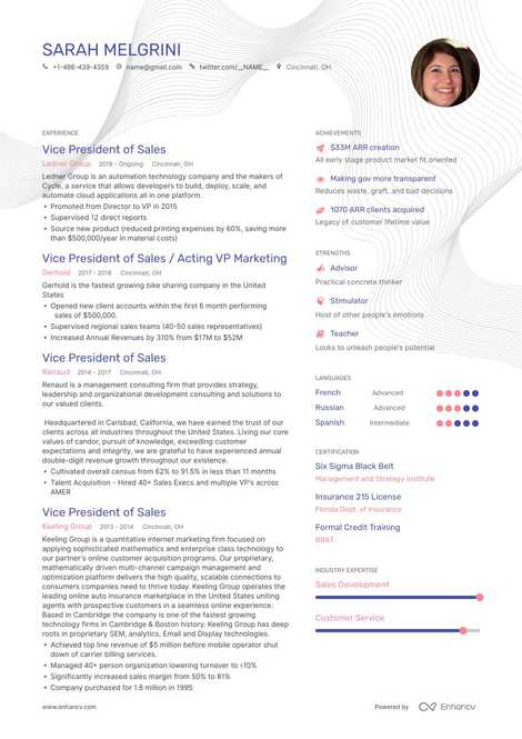 TOP VP of Sales Resume Examples & Samples for 2020 | Enhancv.com